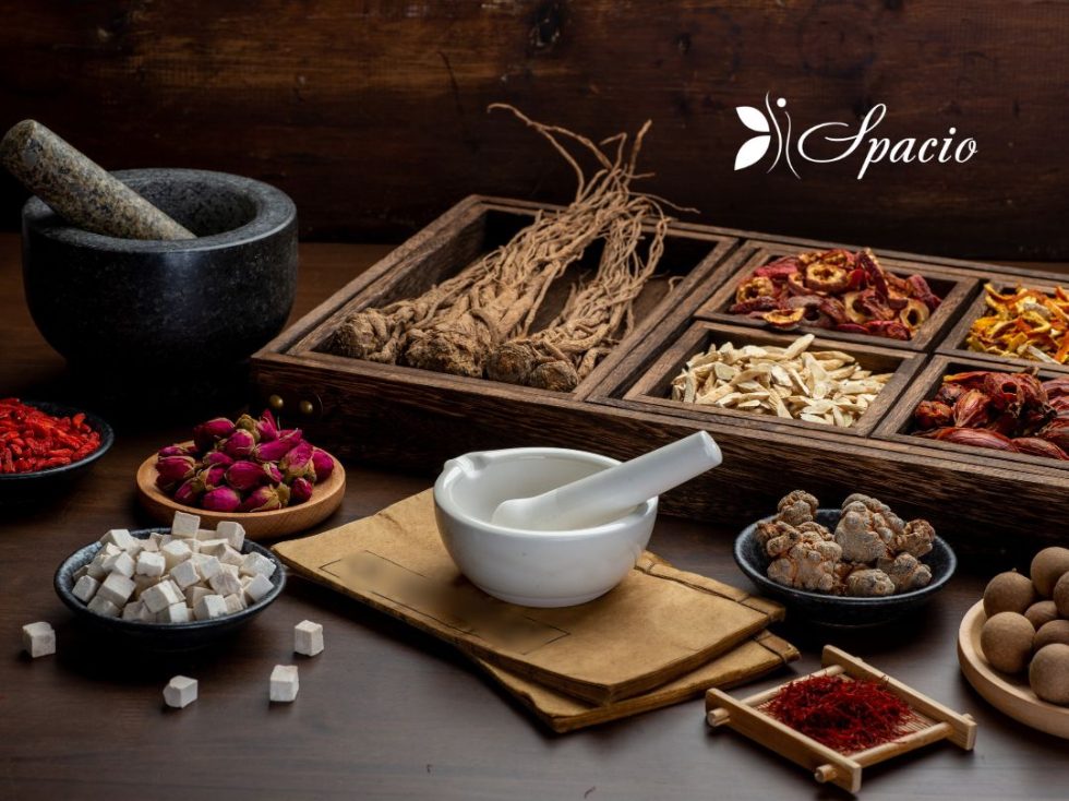 Women’s Day Wellness Guide: How TCM Supports Women at Every Stage of Life 🌸