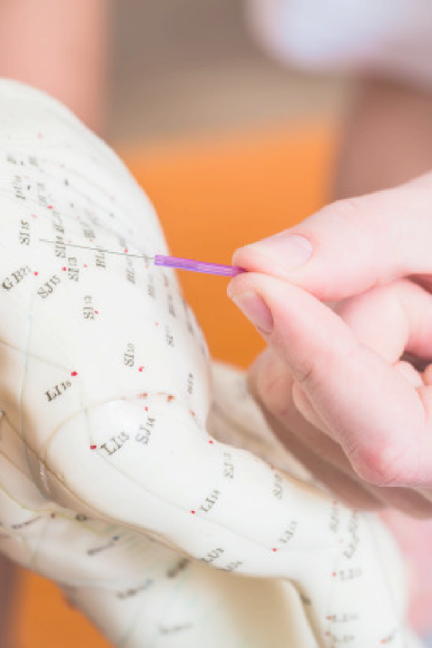 TCM Wellness - Spacio